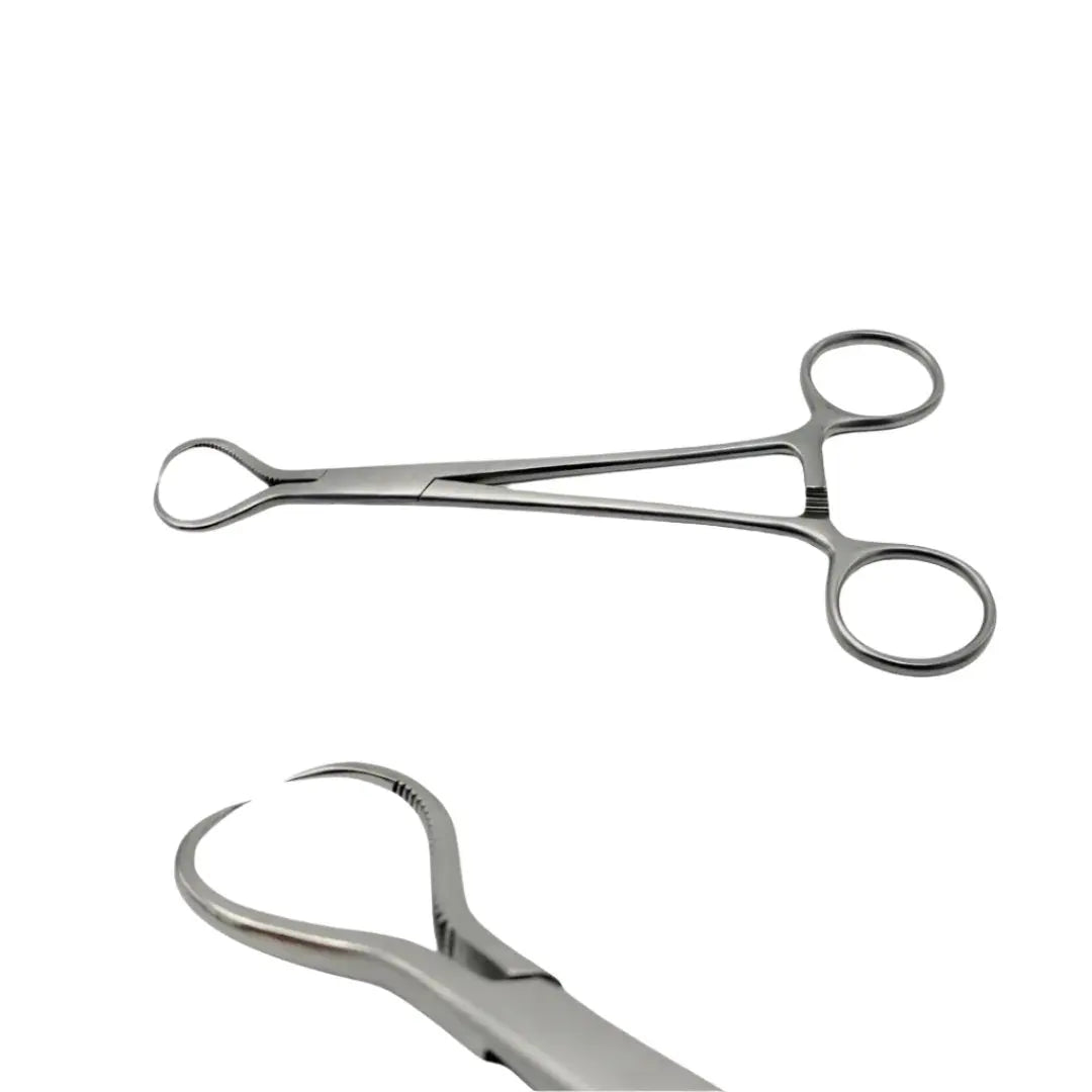 V. Mueller Nl6960 Lewin Spinal Perforating Forceps Jaws From Shank ...